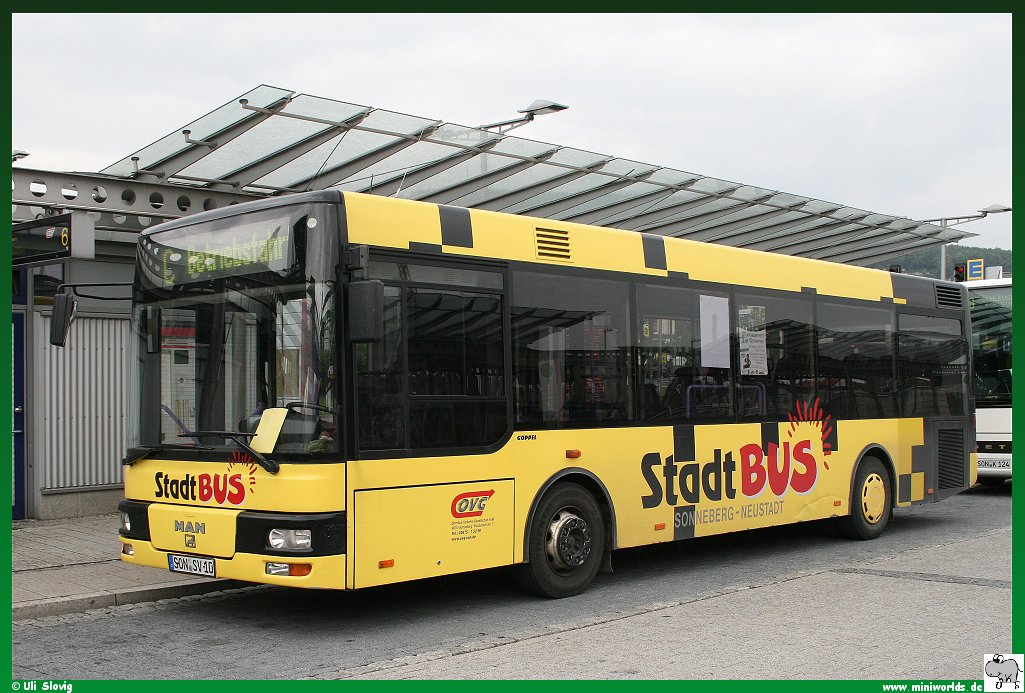 MANNÜ 313 CNG
